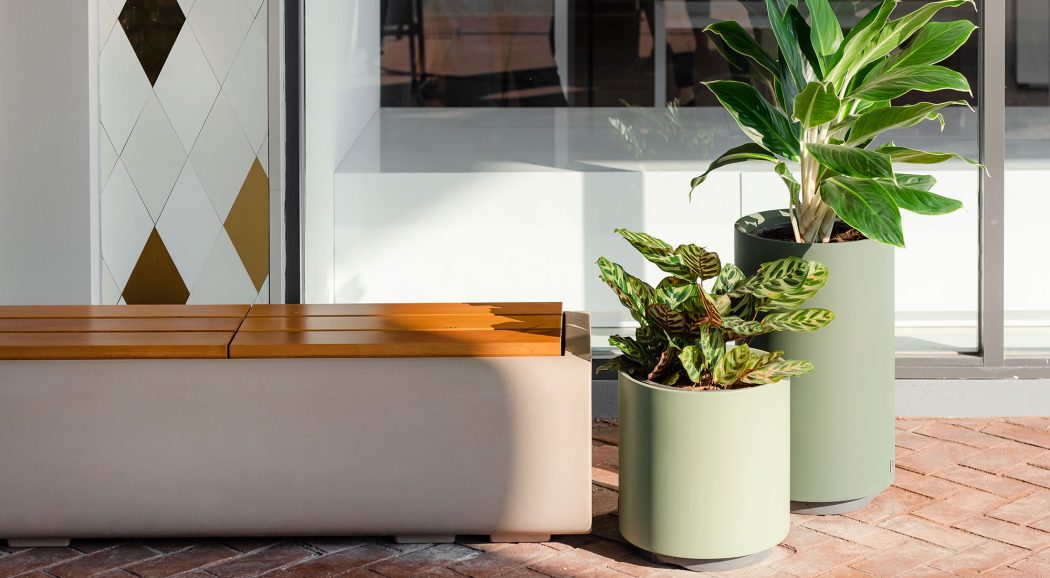 Central Village - Tree Square